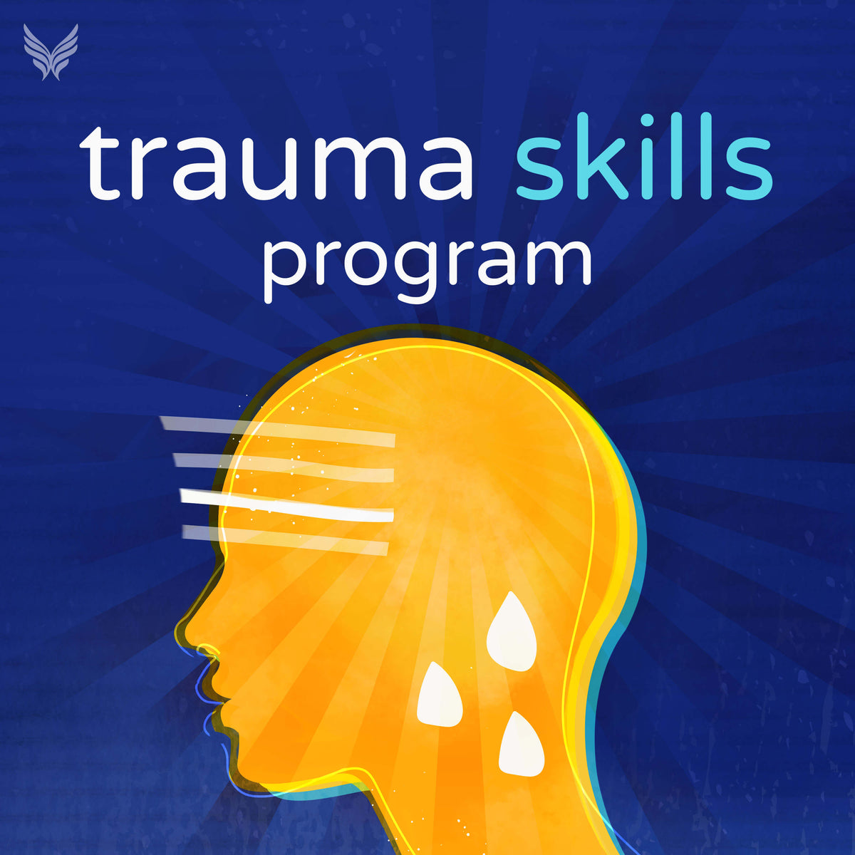 The Trauma Skills Program – Sounds True