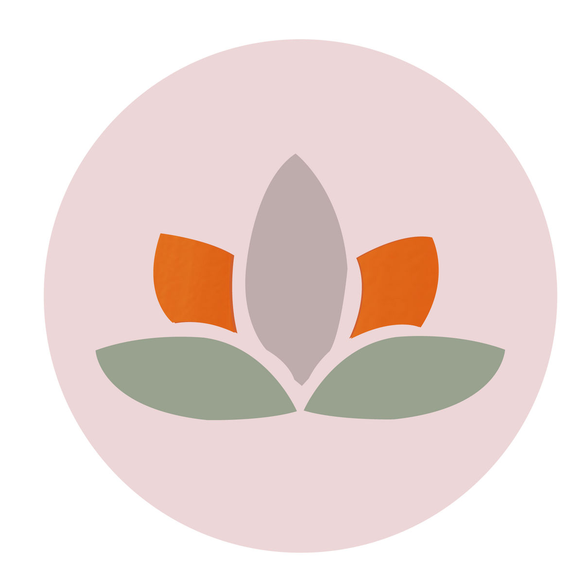 Meditation – Sounds True