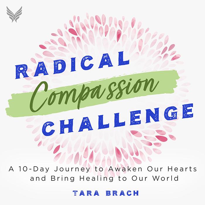 Radical Compassion Challenge – Sounds True